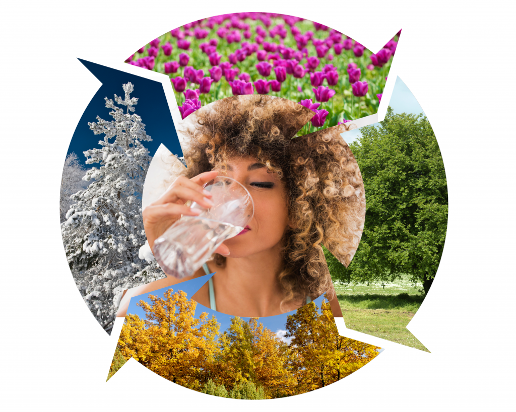 Seasonal Water Quality: Why Offices Need Bottleless Water Coolers